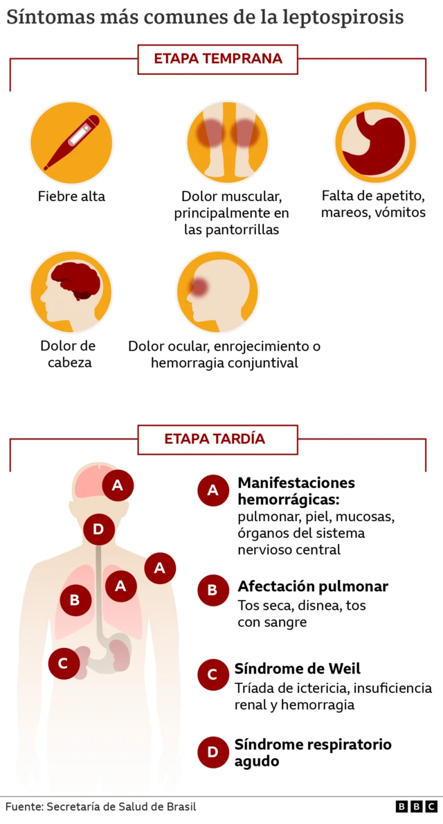 Leptospirosis: “Mi diagnóstico hubiera sido más rápido si no existiera un estigma sobre la ...