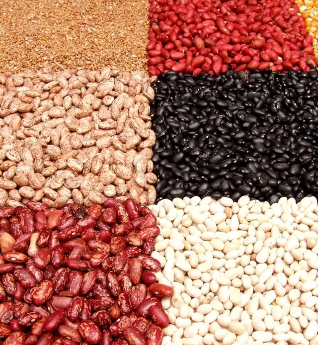 Haricots : Pourquoi peuvent-ils être la solution à de nombreux ...