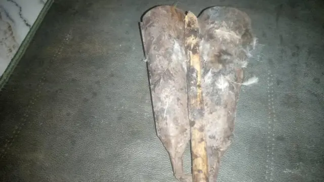 Divination: Ị﻿ chọrọ ịmụta etu esi agba afa? - BBC News Ìgbò