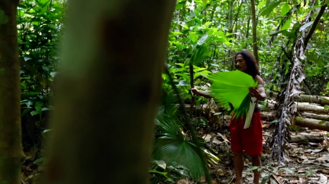 Pertambangan nikel: Nasib masyarakat adat O'Hongana Manyawa di sekitar ...