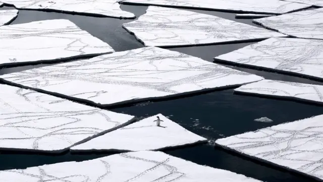 El Mar de Ross, la zona de la Antártica que se convirtió en la reserva ...