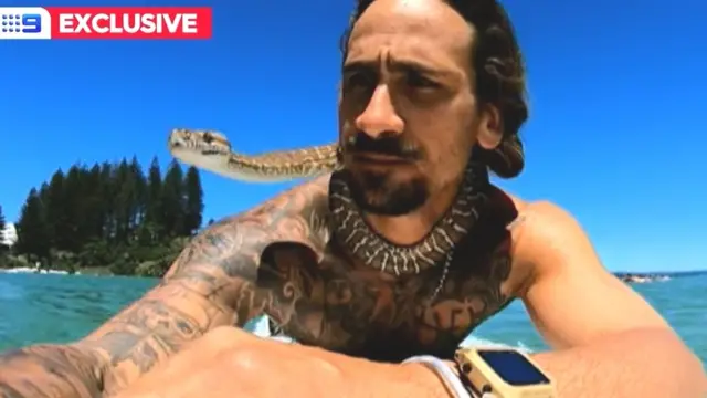 مار سره یو ځای سمندر کې لامبل؛ اسټرالیا کې یو سړی څه باندې ۲۰۰۰ ډالره ...