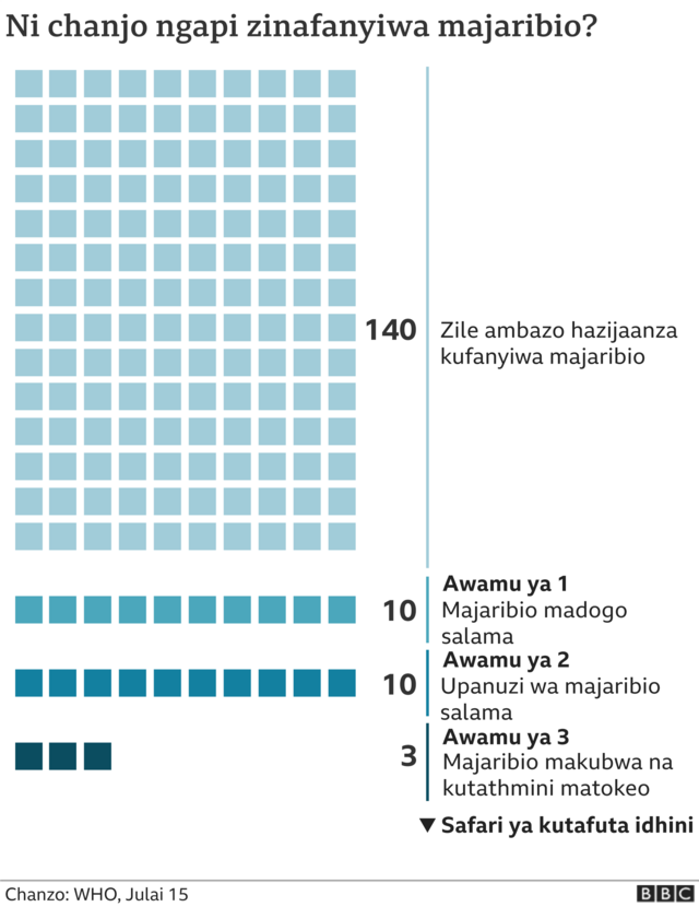 Virusi vya corona: Chanjo ya Oxford ilivyowezesha mfumo wa kinga ...