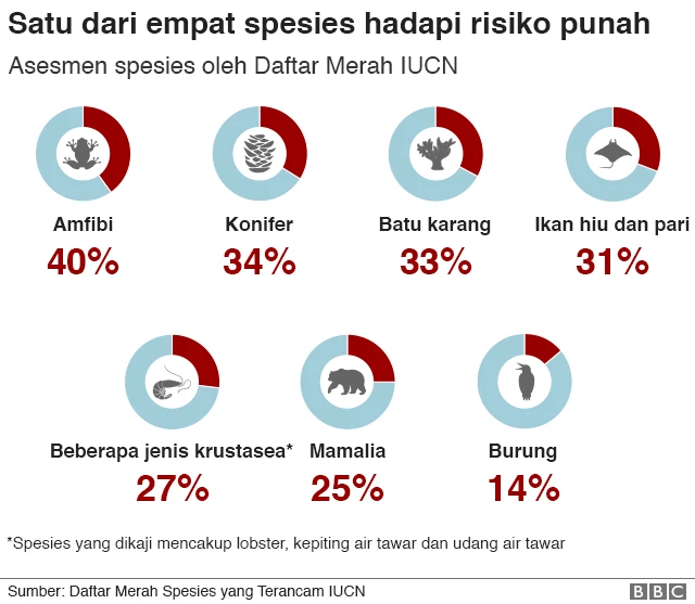 PBB: Satu juta spesies hewan dan tanaman terancam punah karena ulah manusia - BBC News Indonesia