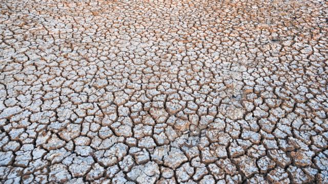 เหมืองโปแตช: “ความพินาศ” และ “คราบน้ำตาบนผืนดิน” คนโคราช จากเหมืองแร่ ...