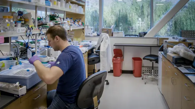 Calico: la sigilosa empresa de Google que quiere extender la juventud ...