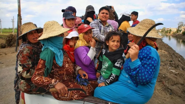 Hulunan kwalliya da masu yankan alkama a cikin hotunan Afirka - BBC ...