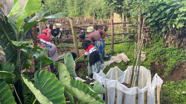 Rwanda: Ubutaka buto ku baturage benshi – Aba bagore b’i Musanze ...