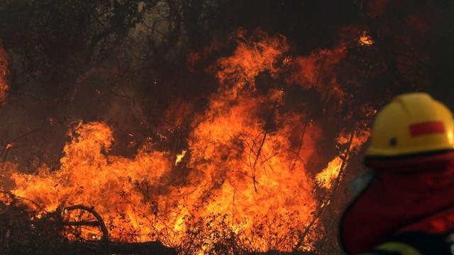 Incendios en el Amazonas: "Daré mi última gota de sangre por esta selva ...