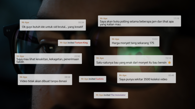 Video penyiksaan monyet: Investigasi BBC bongkar komunitas pembenci monyet internasional yang ...