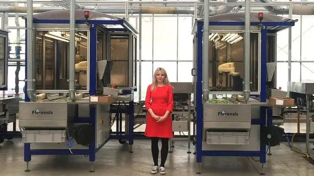 Cómo la muerte de un agricultor de espárragos en Holanda impulsó la ...