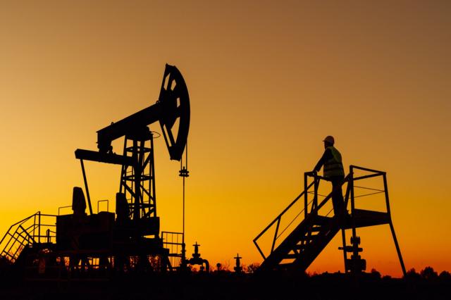 Lingkungan: 'Orang dalam' diduga muluskan bisnis biodiesel dan sawit para konglomerat - BBC News ...