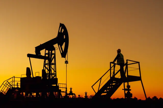 Lingkungan: 'Orang dalam' diduga muluskan bisnis biodiesel dan sawit ...