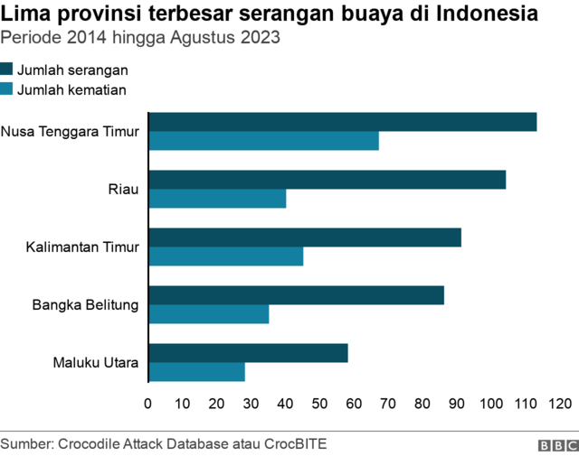 Konflik buaya dan manusia di Indonesia terparah di dunia, ratusan orang kehilangan nyawa ...