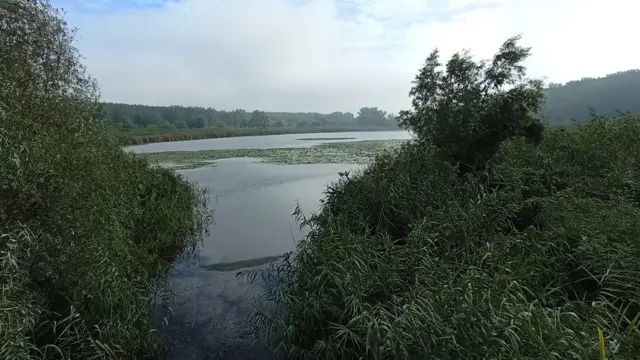 Светски дан биодиверзитета: Како се на Балкану чува шароликост природе ...
