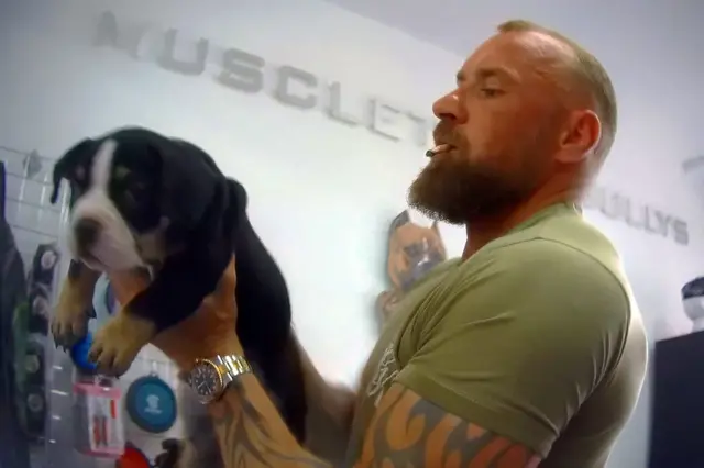 BBC araştırması organize suç örgütlerinin bazı köpek ırklarına ...