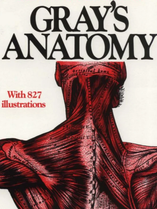 "Anatomía de Gray", cómo nació el libro que marcó el estudio del cuerpo ...