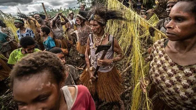 Hakim PTUN Jayapura tolak gugatan suku Awyu yang menentang perkebunan ...