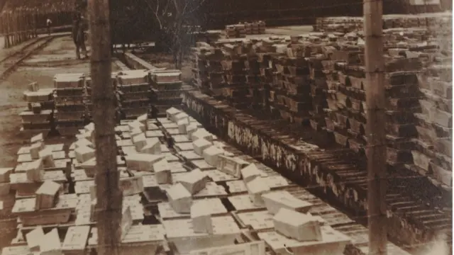 Konflik buaya dan manusia di Indonesia terparah di dunia, ratusan orang kehilangan nyawa ...