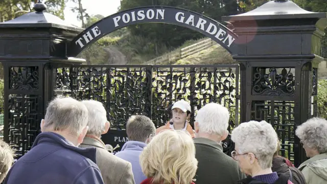 The Poison Garden: Taman paling mematikan di Inggris - BBC News Indonesia