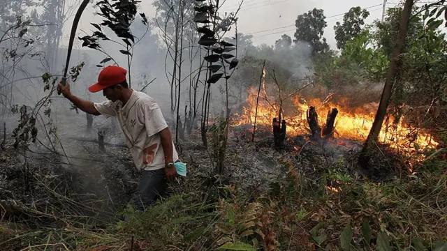 Kebakaran hutan dan lahan: Dumai ditutupi kabut asap, karhutla tahun ini dikhawatirkan 'lebih ...
