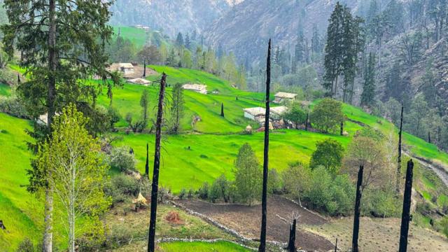 नेपाल: यस्तो ठाउँ जहाँ खाल्डो खनेर अनाज राखिन्छ - BBC News नेपाली