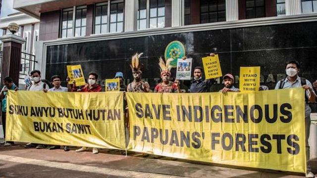 Hakim PTUN Jayapura tolak gugatan suku Awyu yang menentang perkebunan ...