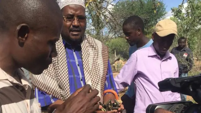 MAQAL: In ka badan 100 neef oo geel ah oo ay “laayeen ciidamadda Kenya ...