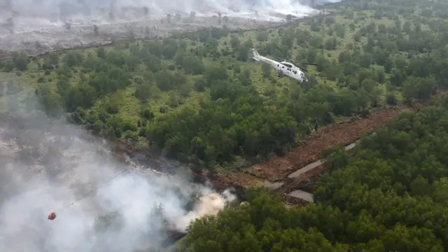 Kebakaran hutan Kalimantan Tengah : 'Warga batuk-batuk, sesak napas, hingga harus turun tangan ...