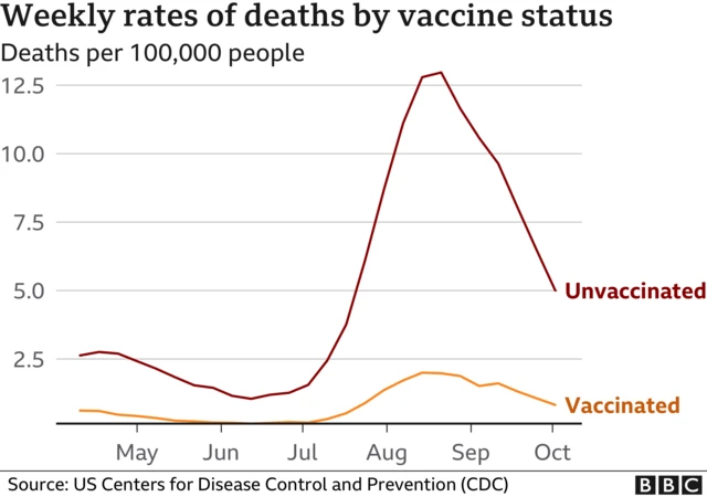 米国の新型ウイルス死者、80万人を超える - BBCニュース