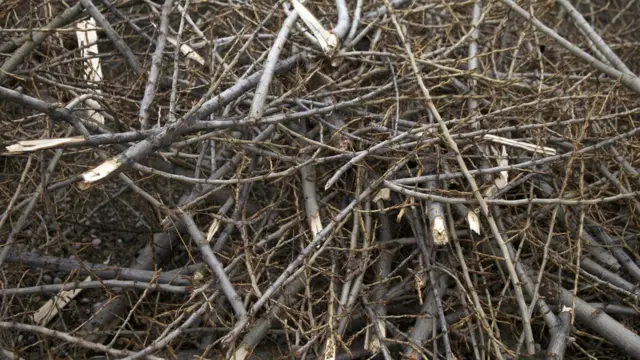 Святий Миколай іде. Морква в черевиках та інші різдвяні традиції Європи ...