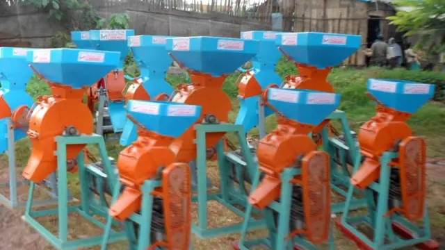 Kalaqa: Maanguddoo ofiin osoo hin baratiin yunivarsitii barsiisan ...