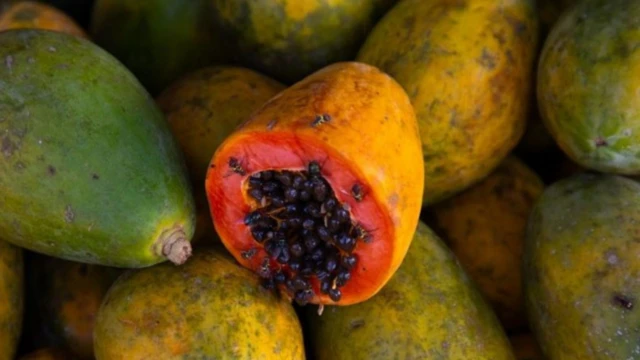 Pawpaw: Wetin you suppose know about di nutritional values of Pawpaw ...