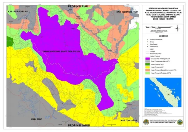 Konflik manusia dan gajah di Jambi: Gajah sumatera ‘kian terjepit’ imbas hutan beralih jadi ...