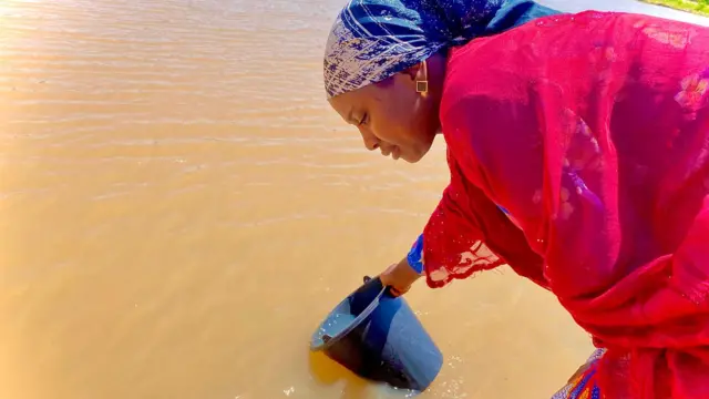 Matsalar ruwa a Kano: 'Yadda muke shan ruwa tare da dabbobinmu a rafi ...