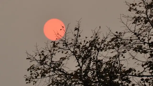 Las causas detrás del inusual sol rojo que se vio en algunas partes de ...