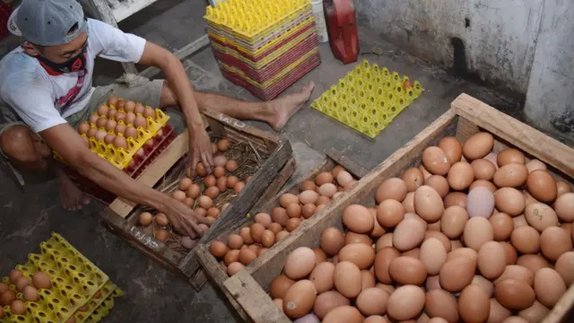 Empat hal di balik angka kemiskinan Indonesia yang disebut mencatat 'sejarah' - BBC News Indonesia