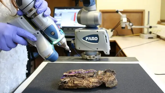 Así era el Toxodon platensis, el "extraño" animal gigante que Charles ...