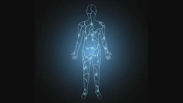 Qué es el "electroma", la red bioeléctrica del cuerpo humano que los ...