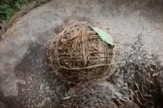 'Tulidhani ni mpira' - Mabomu yanayowaua na kuwajeruhi watoto