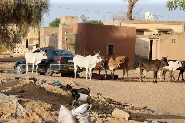 Fièvre de la Vallée du Rift au Sénégal : 25 morts et 287 cas confirmés ...