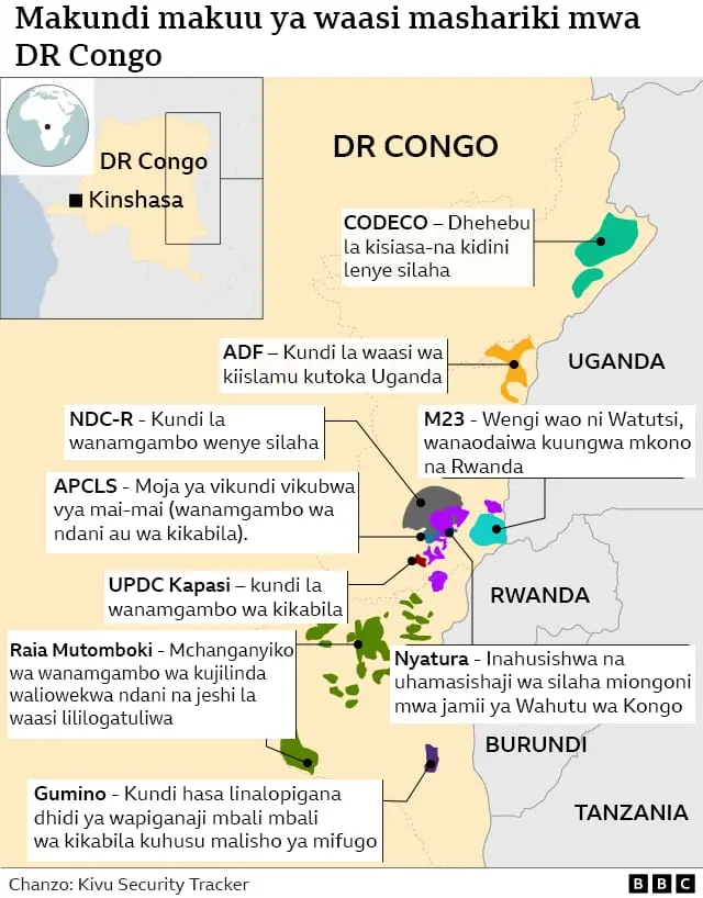 Fahamu baadhi ya makundi ya waasi yanayoyumbisha amani ya DR Congo ...