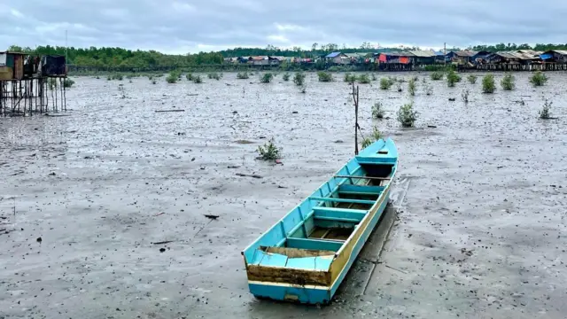 Papua: Pemerintah klaim kemiskinan ekstrem 0% akhir 2024, di Papua bertahan hidup ‘harus ...