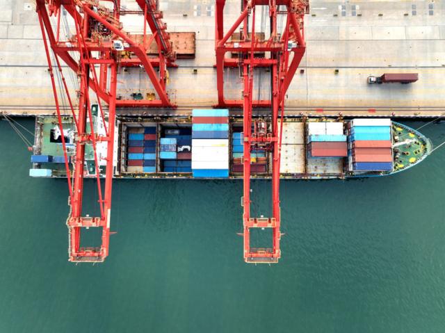 Gıda krizi: George Monbiot, sorunun teknoloji değil, siyaset sorunu olduğunu düşünüyor - BBC ...