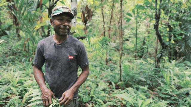 Papua: Hewan mamalia yang hilang selama 62 tahun ditemukan kembali ...