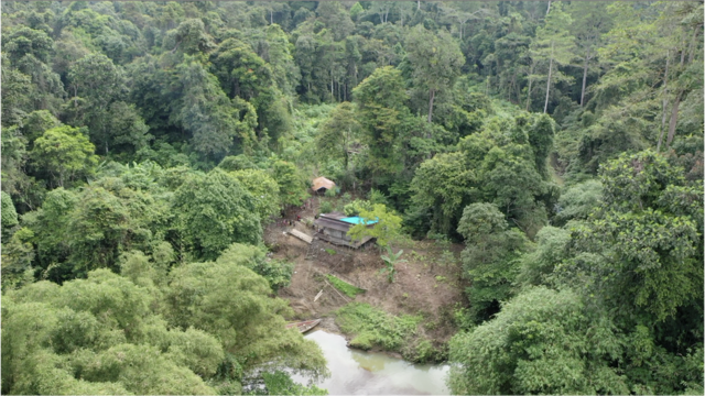 Punan Batu: Kisah suku pemburu-peramu terakhir Kalimantan, 'sampai ...