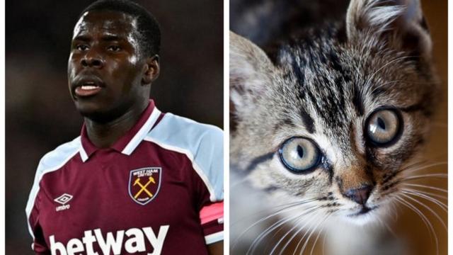 Dhimmi taphataa adurree dhiitee namoota gidduutti qoodiinsa yaadaa uume ...