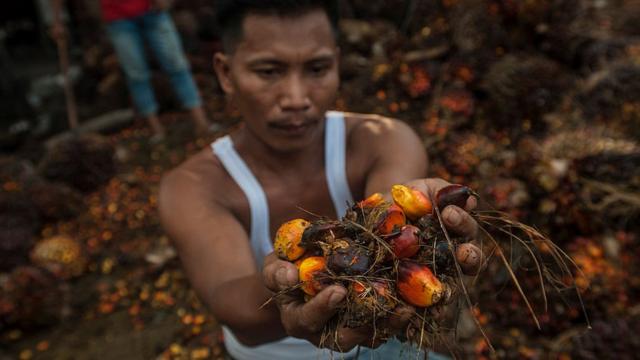 Indonesia gugat Uni Eropa ke WTO atas tuduhan 'diskriminasi sawit' - BBC News Indonesia