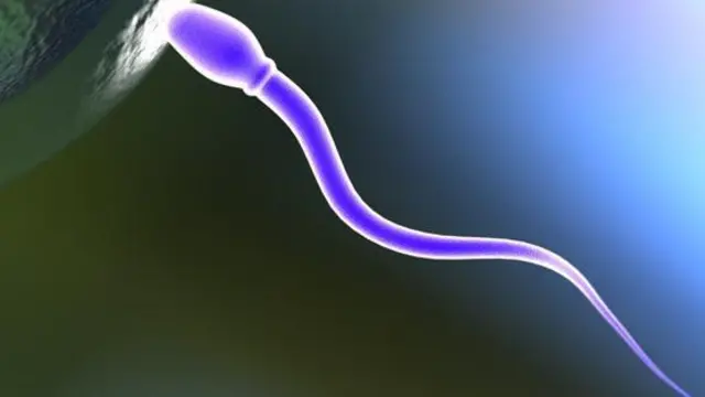 Tembe za wanaume za kuzuia utungaji mimba zilivyoonesha mafanikio - BBC News Swahili