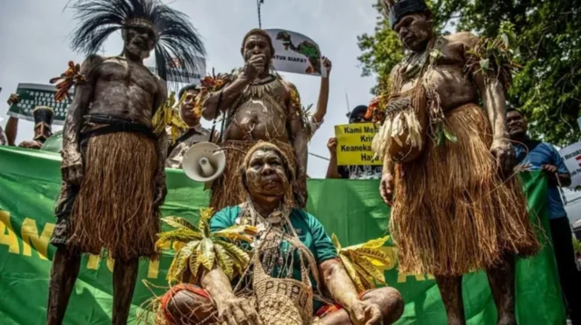 Masyarakat adat Papua: Suku Malind Anim 'sedang dalam pemusnahan ...